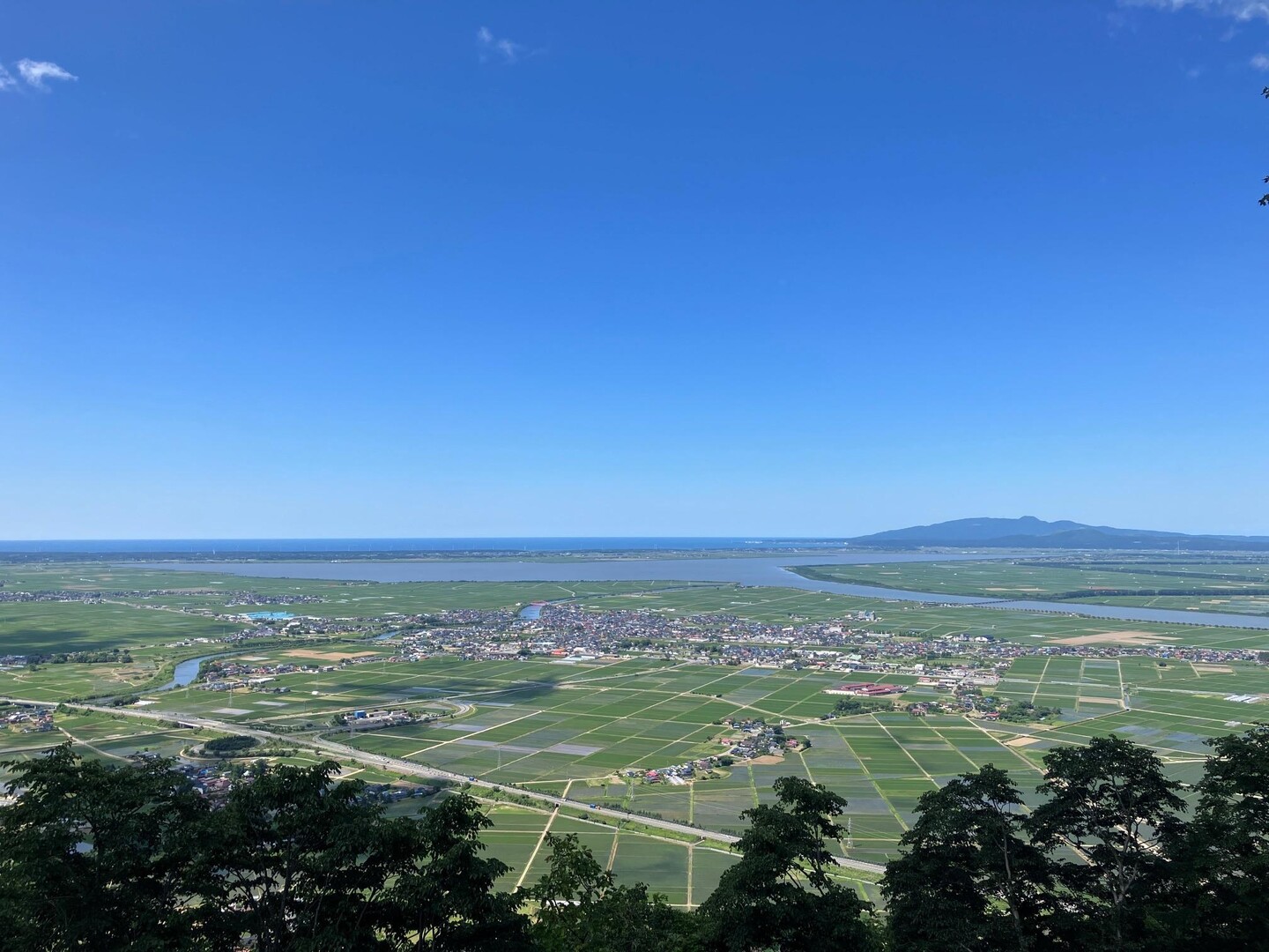 森山-2023-06-19 / yasさんの森山の活動データ | YAMAP / ヤマップ