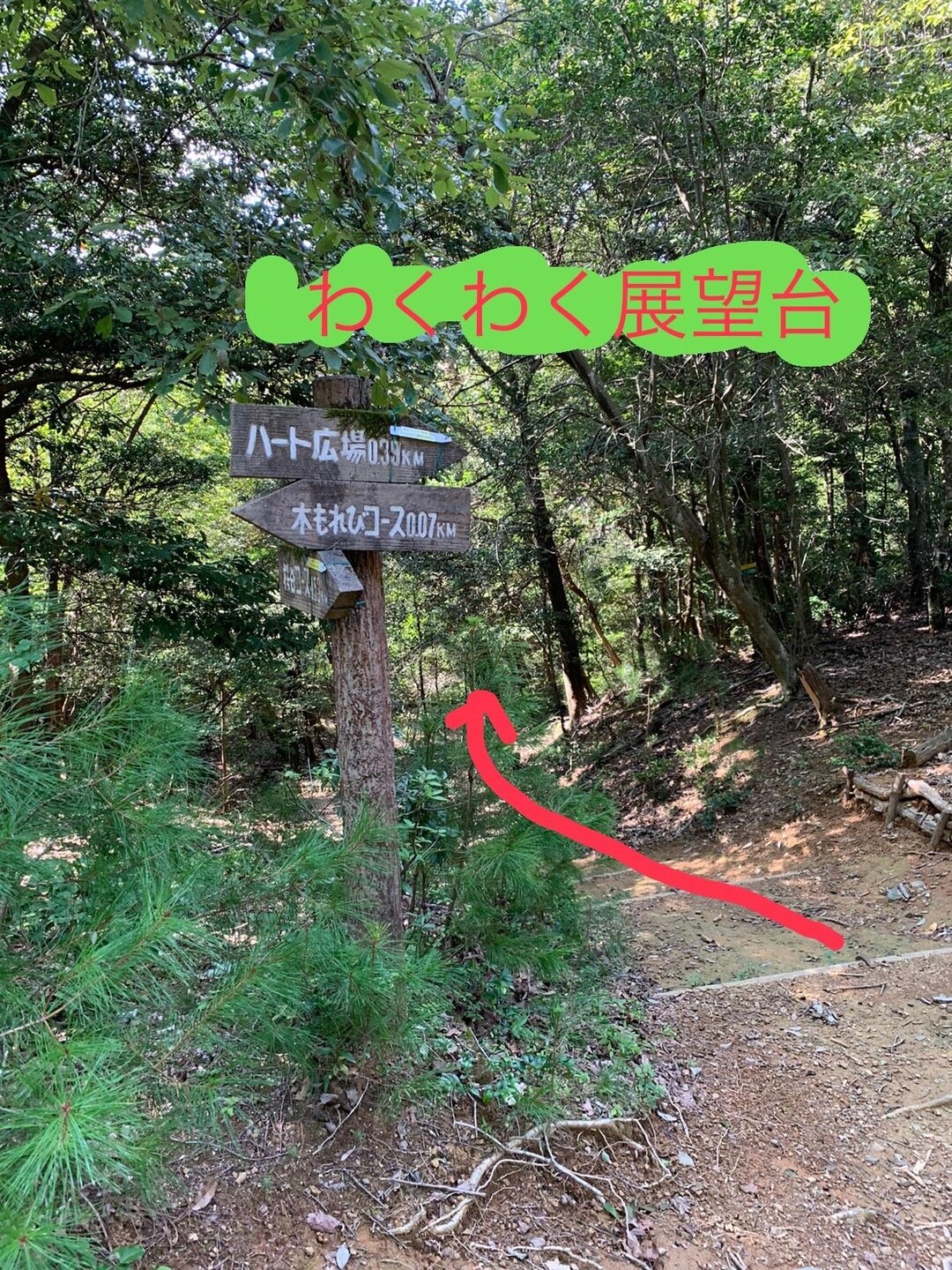 ERlii*さんの投稿したフィールドメモ | YAMAP / ヤマップ