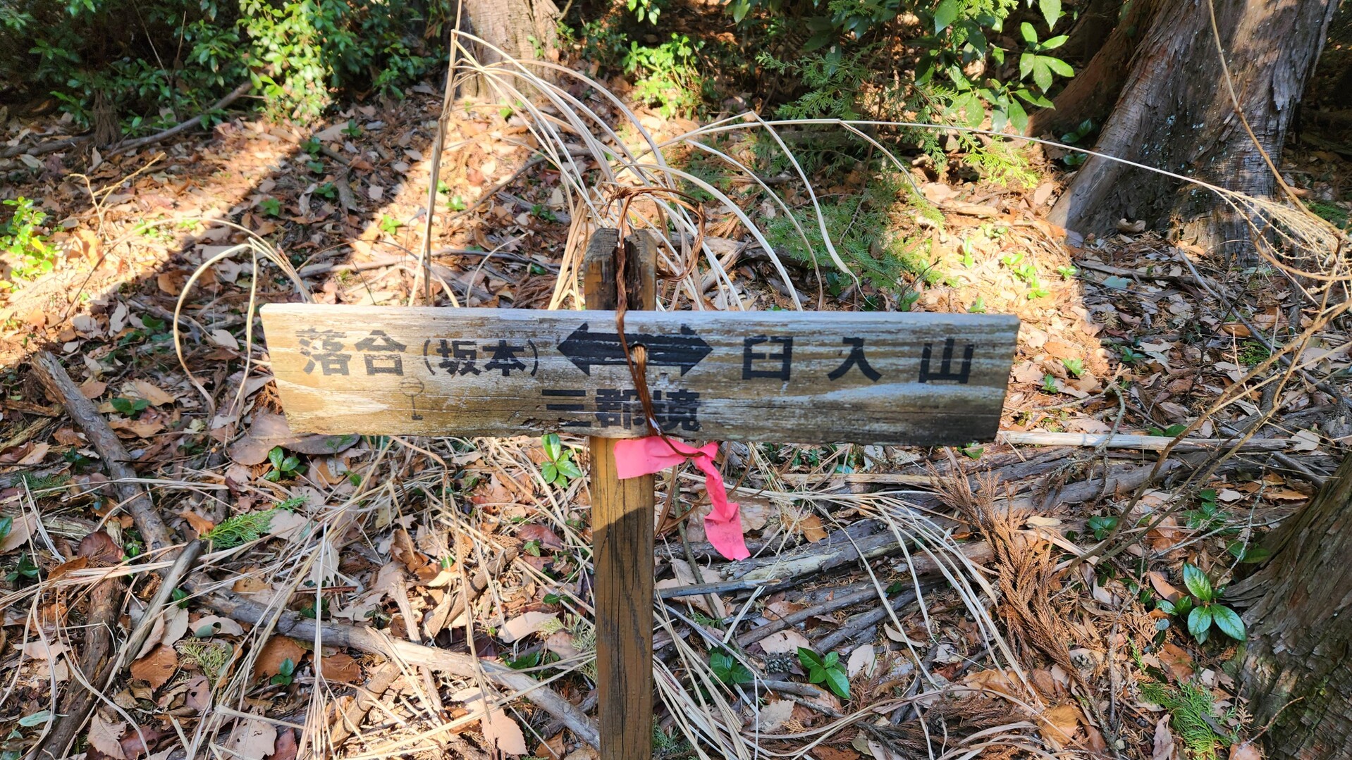 dxcさんの投稿したフィールドメモ | YAMAP / ヤマップ