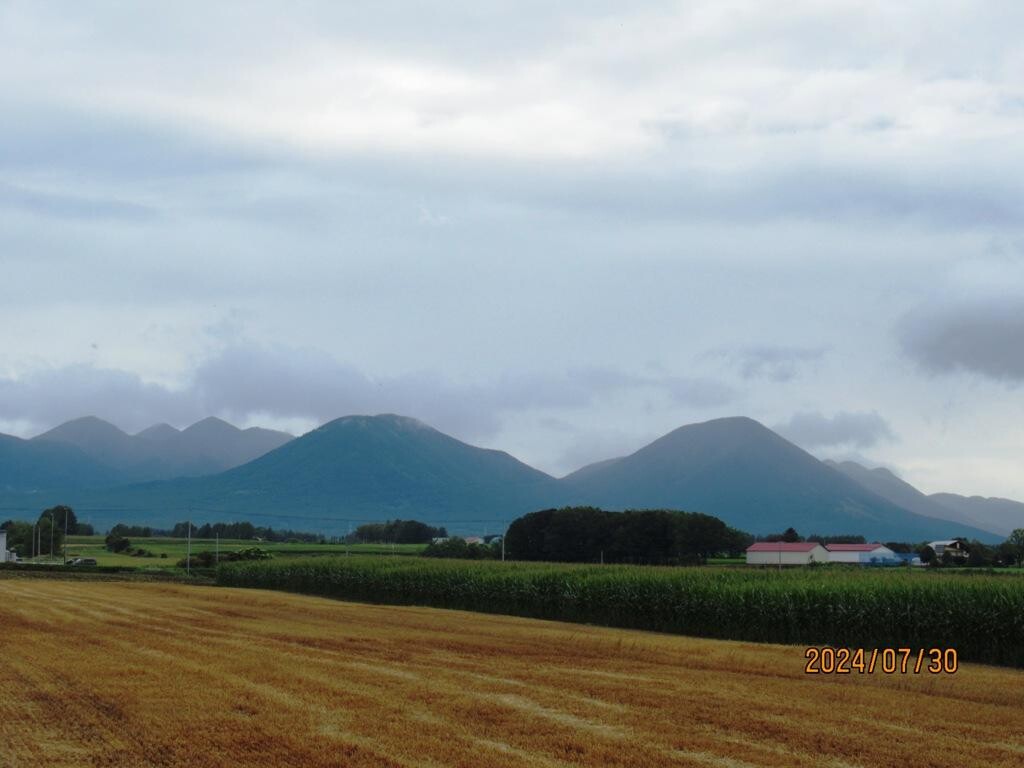 ランニング-2024-07-30 / miyaさんのランニングの活動データ | YAMAP / ヤマップ