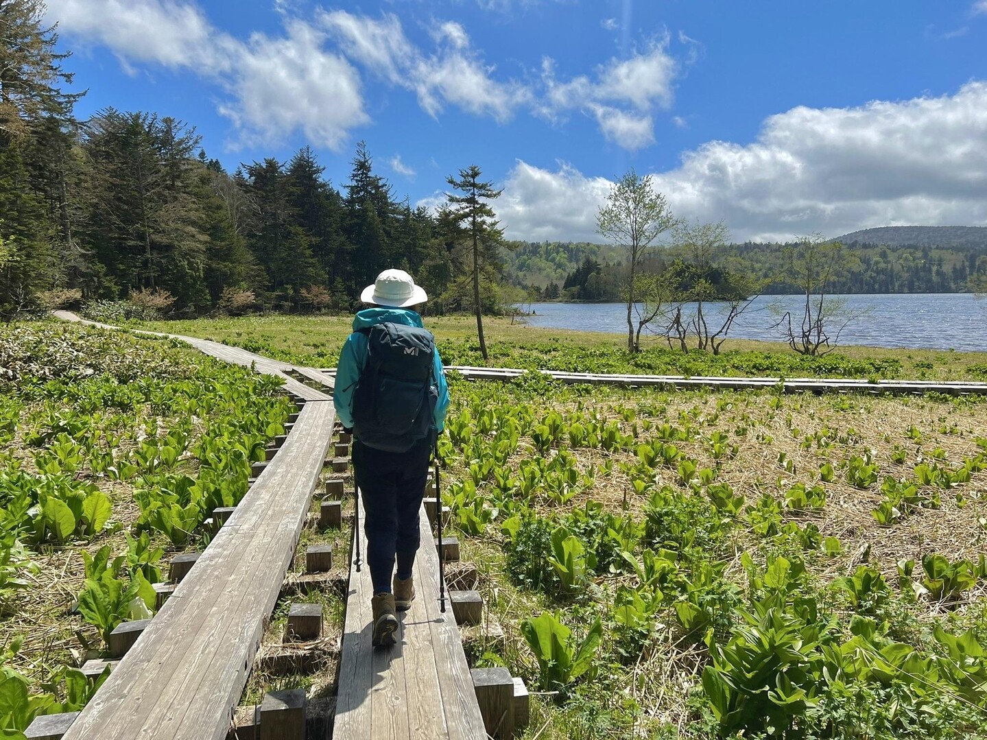 尾瀬沼散策 / hamiさんの尾瀬・燧ヶ岳の活動データ | YAMAP / ヤマップ