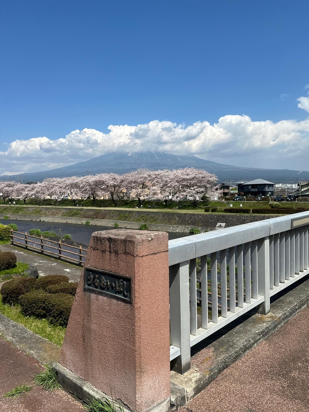 富士宮潤井川-2023-04-01 / uruさんの岩本山・明星山の活動データ | YAMAP / ヤマップ
