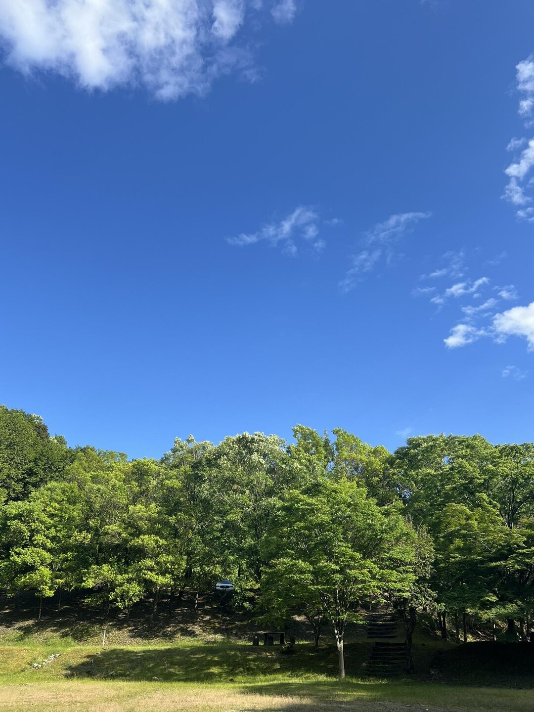 やっぱり晴れが良い / aoさんのモーメント | YAMAP / ヤマップ