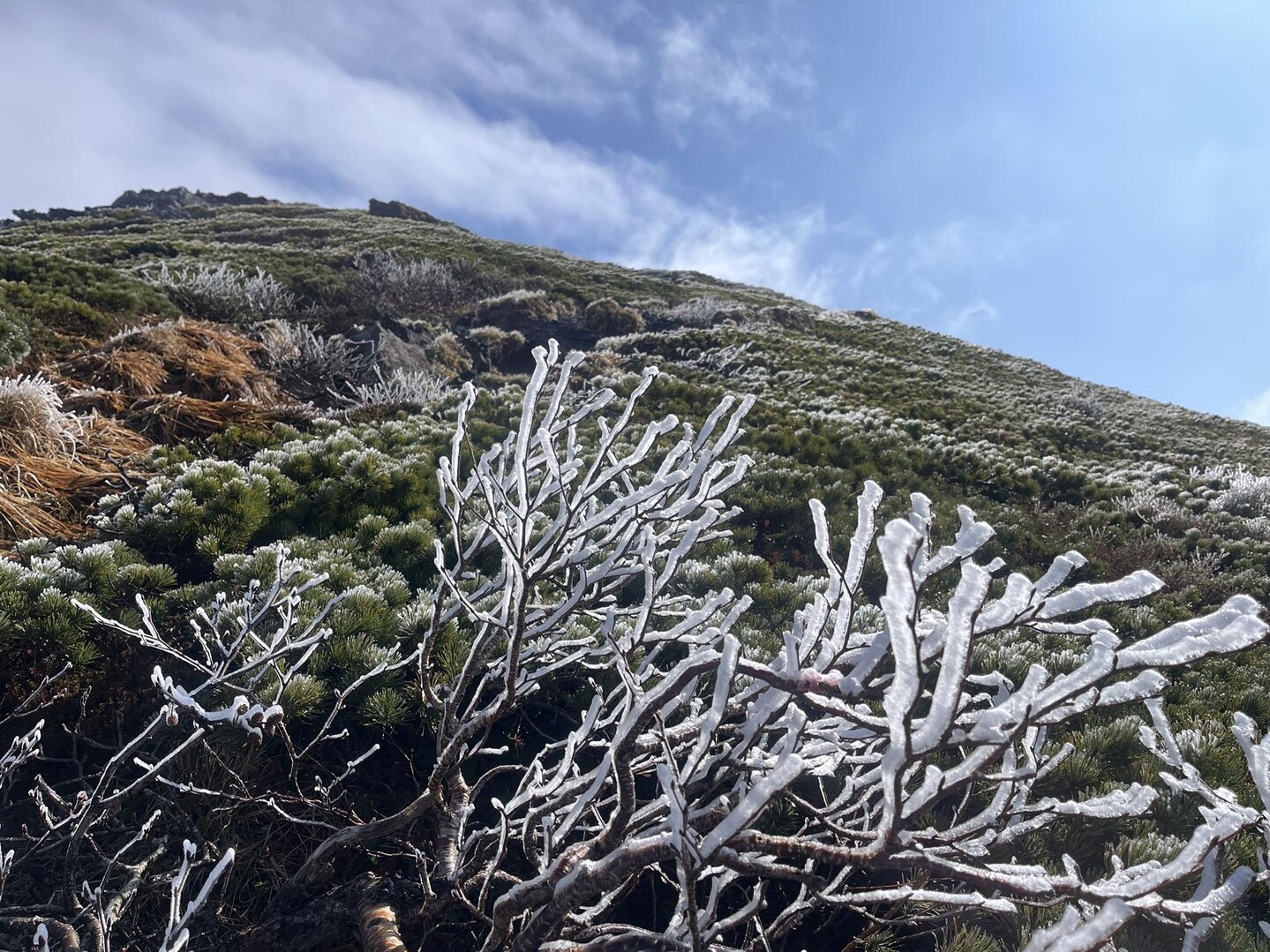 まずはご挨拶☆ Day1 1st 岩手山 / タカーニョさんの岩手山・黒倉山・鞍掛山の活動データ | YAMAP / ヤマップ