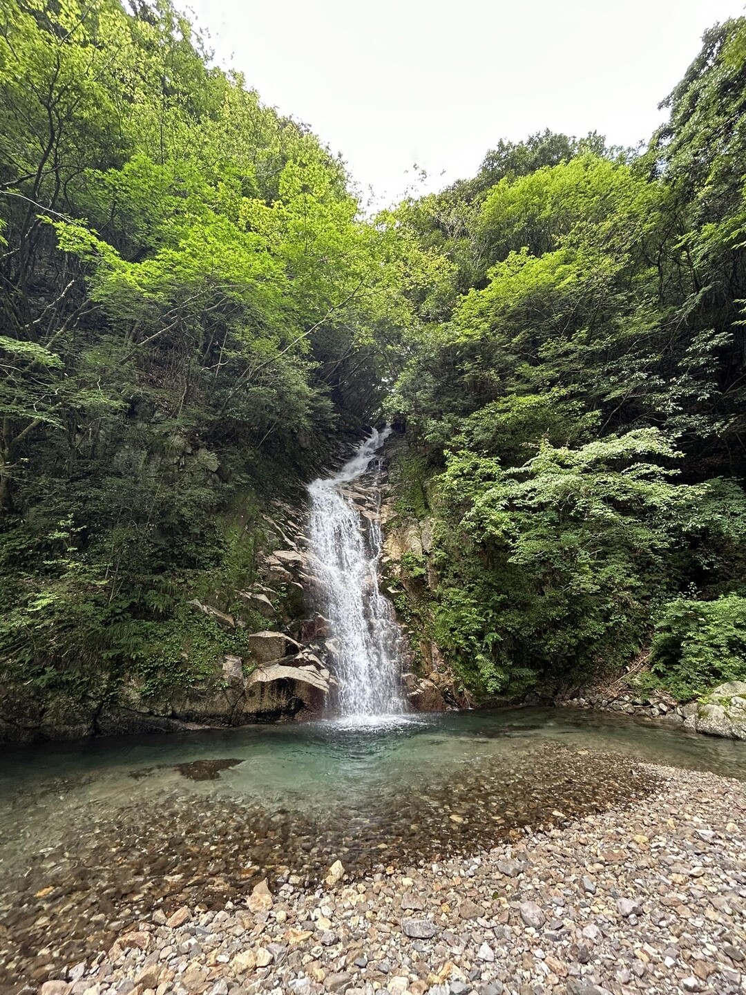 竜ヶ岳 / BPさんの竜ヶ岳の活動データ | YAMAP / ヤマップ