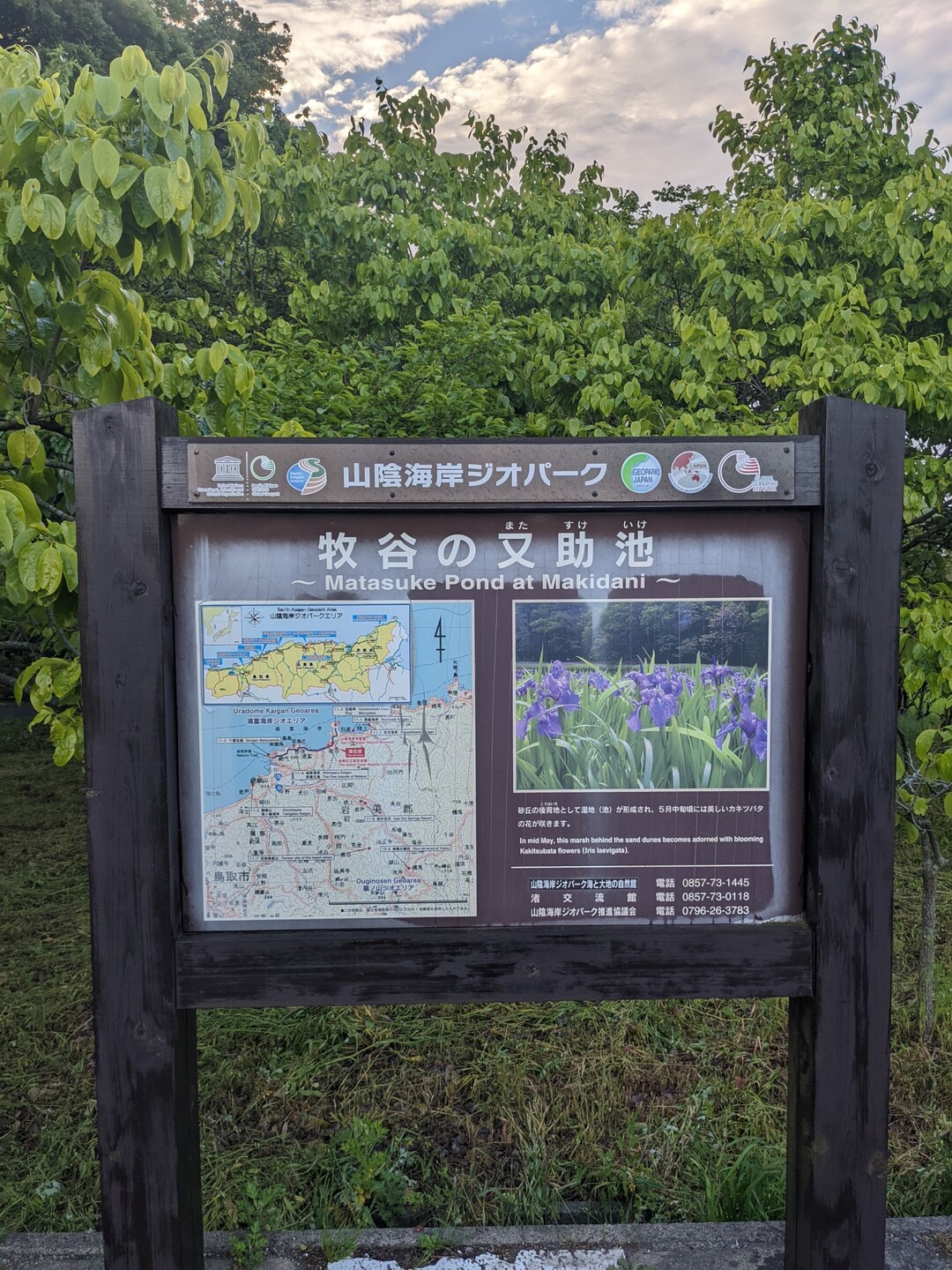 牧谷のカキツバタ群落 / ゆうゆうHiさんのモーメント | YAMAP / ヤマップ