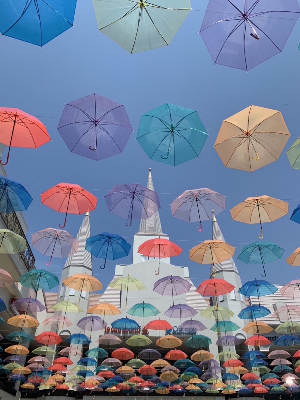 ジャズドリーム長島 / ha-saさんのモーメント | YAMAP / ヤマップ