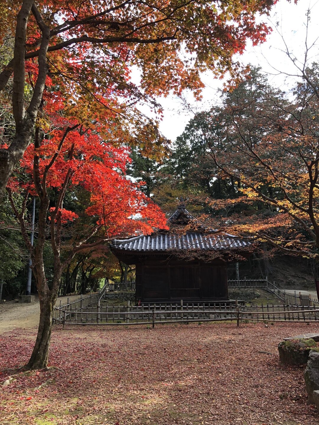 書写山（東坂〜東坂）am / オバオバ（OBAOBA）さんの書写山・伊勢山・とんがり山の活動データ | YAMAP / ヤマップ