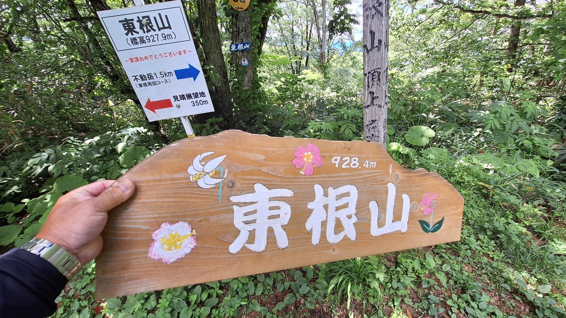 R06.06.26東根山_周回 / たけちゃんさんの南昌山・東根山・箱ヶ森の活動データ | YAMAP / ヤマップ