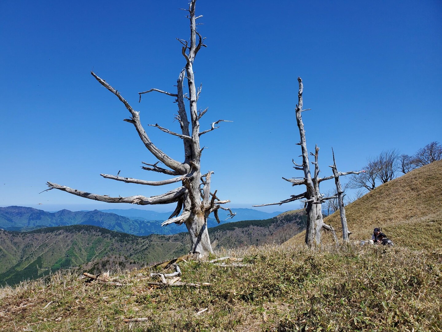 剣山・次郎笈・丸石 縦走 / Mr.SAMさんの剣山の活動データ | YAMAP / ヤマップ