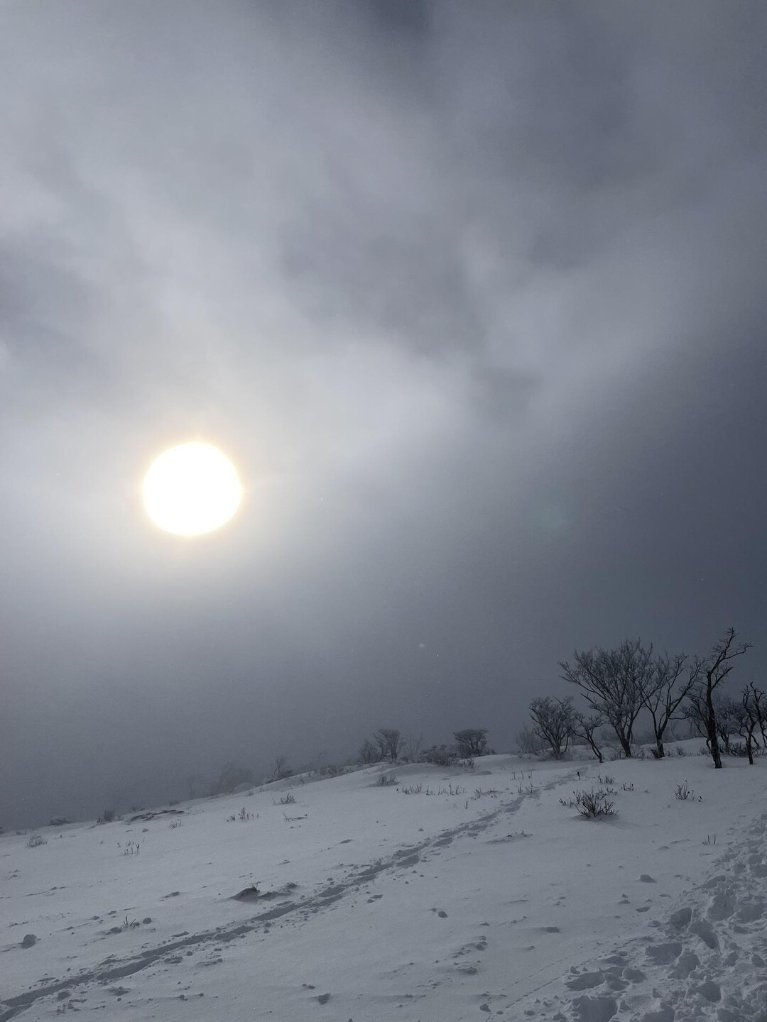 藤原岳 20230103 / snowyさんの藤原岳・御池岳の活動データ | YAMAP / ヤマップ