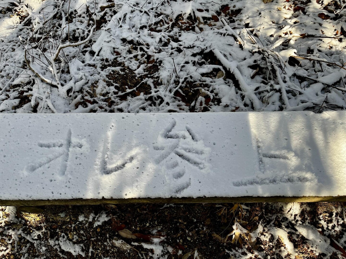 高根山・山星山 トレラン / masa-m2さんの山星山・高根山の活動データ | YAMAP / ヤマップ