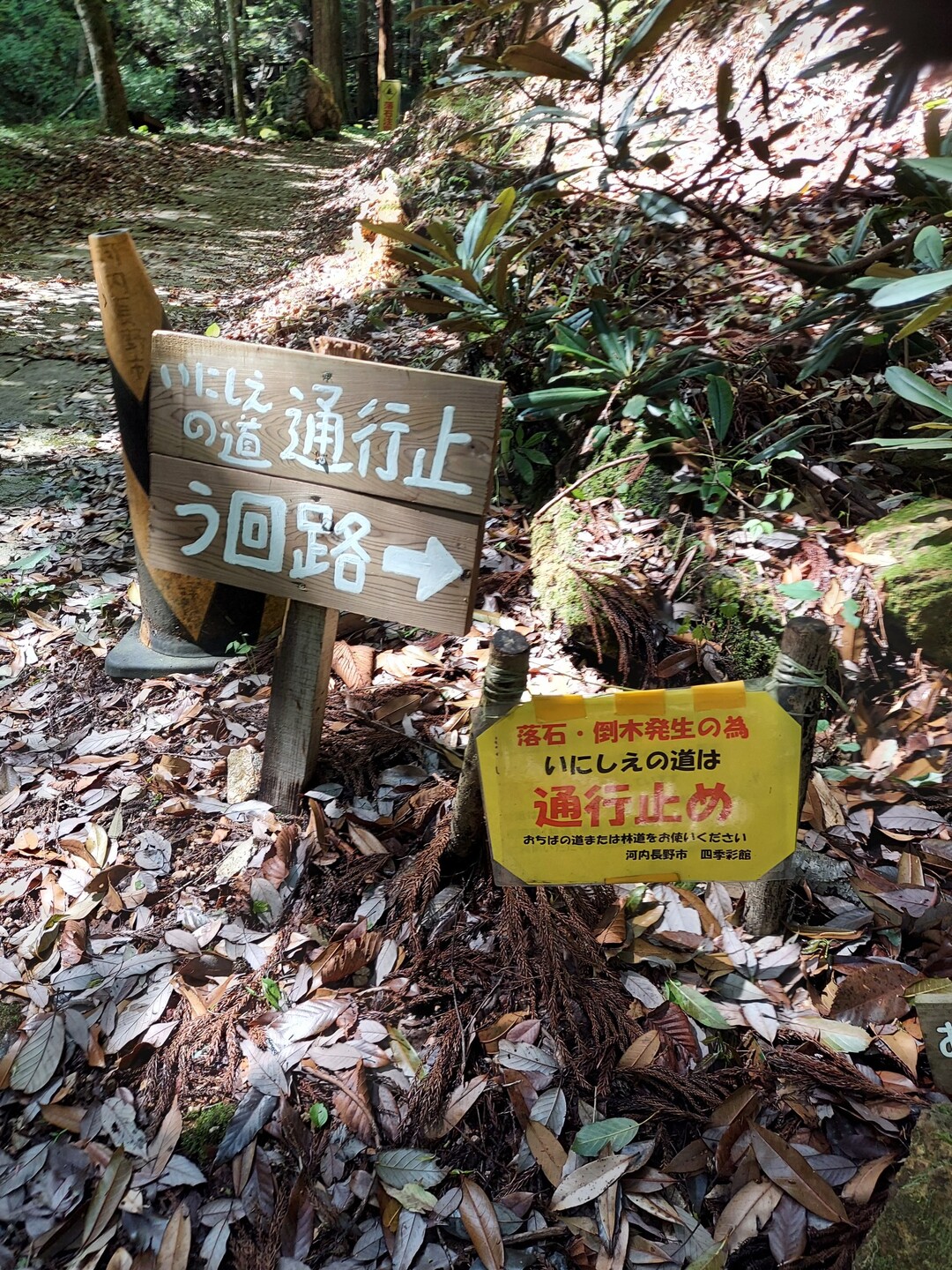 smileなかさんの投稿したフィールドメモ | YAMAP / ヤマップ