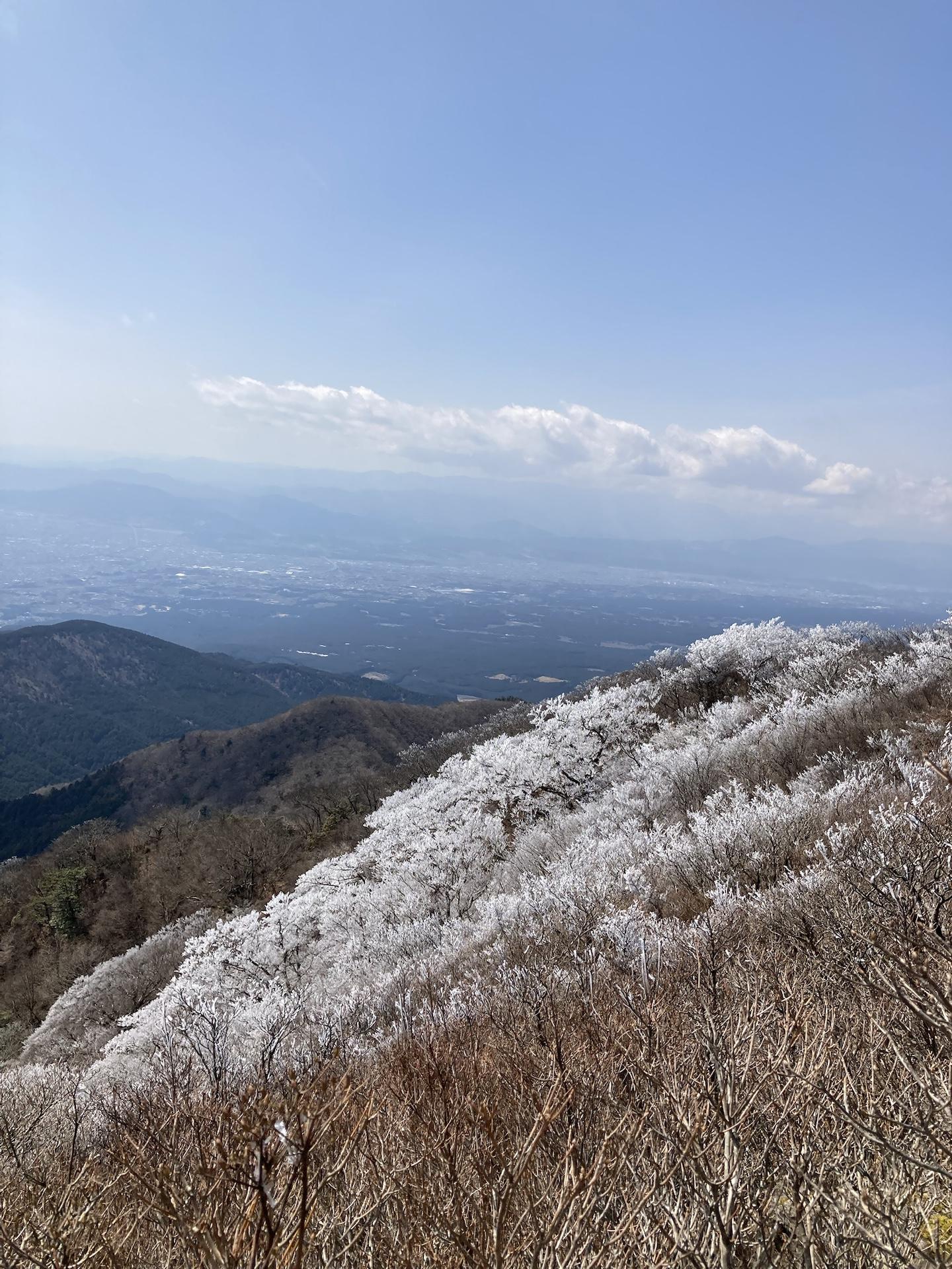 越前岳 / みずみずさんのFUJISAN LONG TRAIL（愛鷹・富士南麓エリア SOUTH）の活動データ | YAMAP / ヤマップ