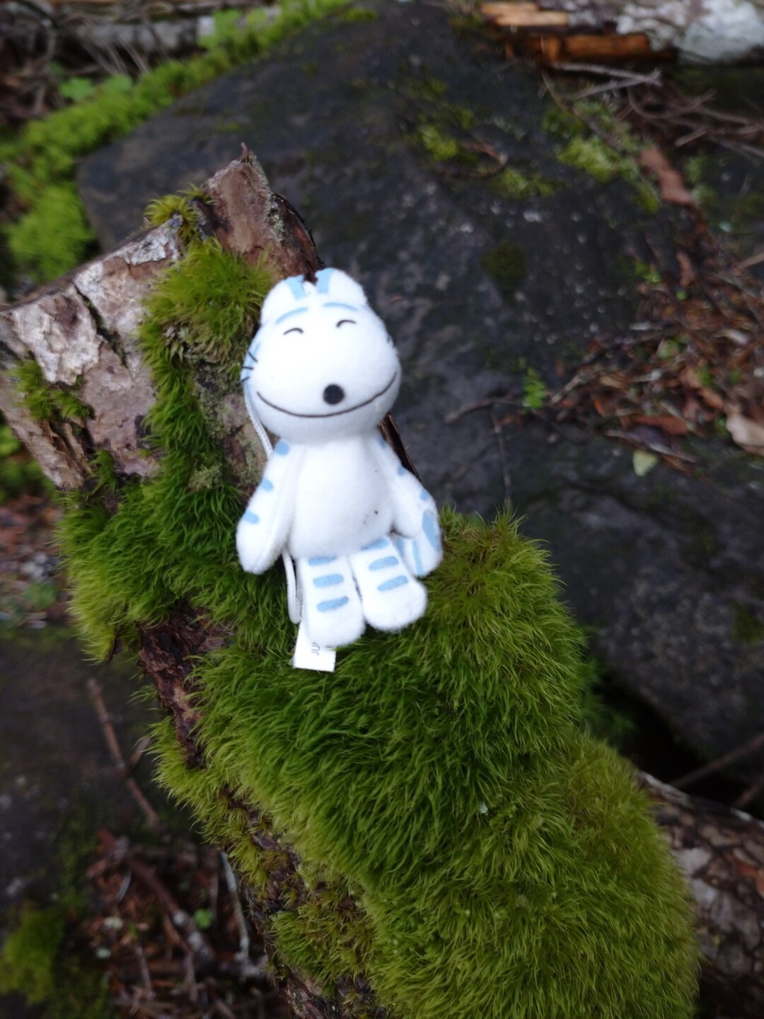 Yuiのページ | YAMAP / ヤマップ