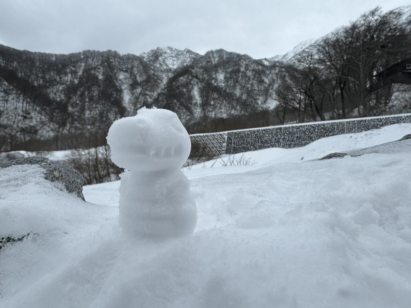 明けましての大山 / TGさんの大山・甲ヶ山・野田ヶ山の活動データ | YAMAP / ヤマップ