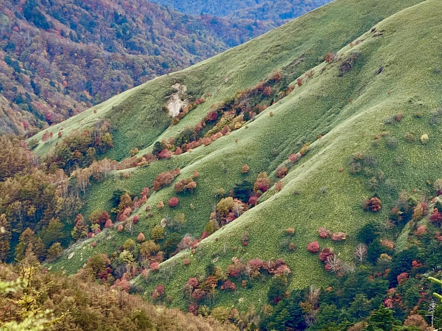 横岳・大川入山・蛇峠山 / mk_013さんの大川入山・横岳の活動データ | YAMAP / ヤマップ