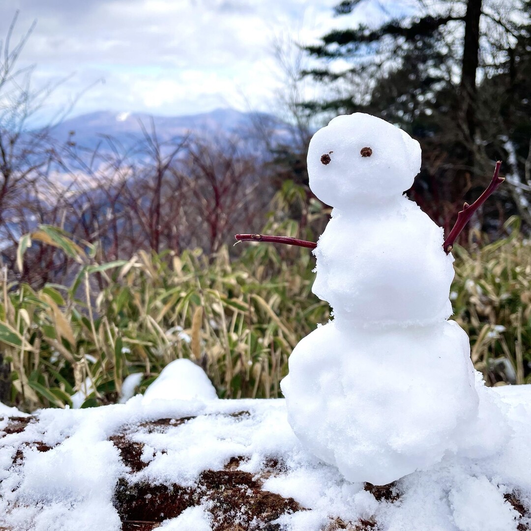 Mt. Myoujingatake Family Hike🏔️ / よごっちさんの明神ヶ岳の活動データ | YAMAP / ヤマップ