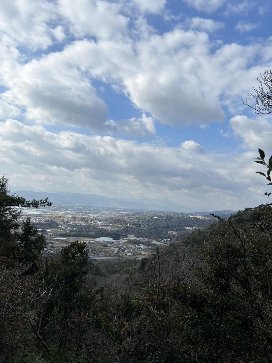 高尾山 / ariさんの高尾山の活動データ | YAMAP / ヤマップ