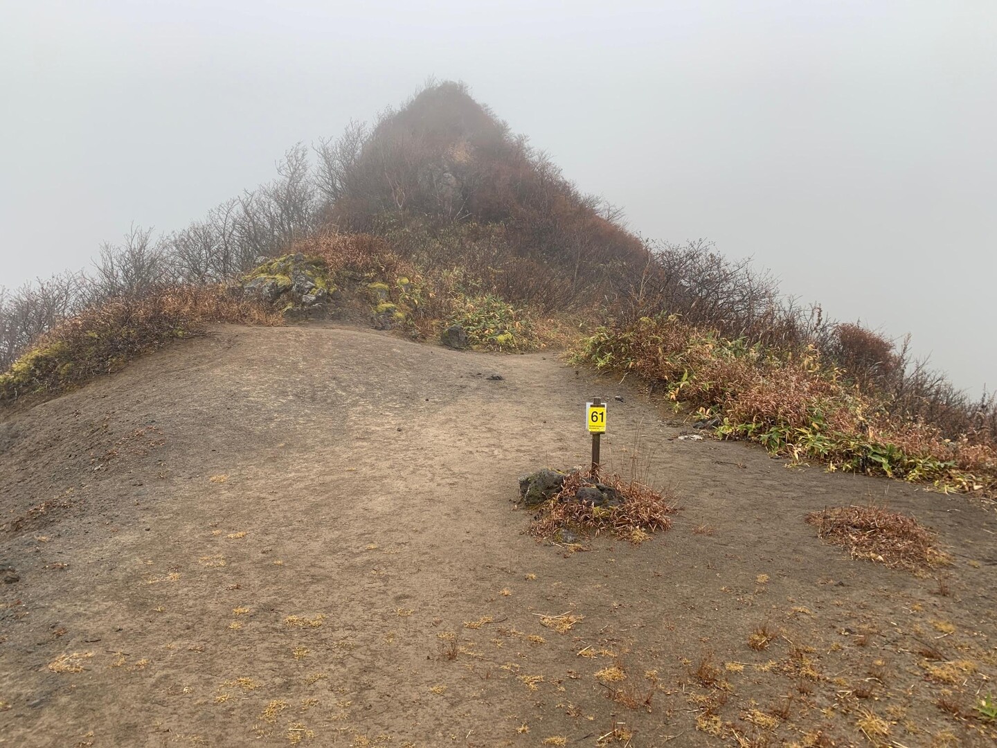 YUMIさんの投稿したフィールドメモ | YAMAP / ヤマップ