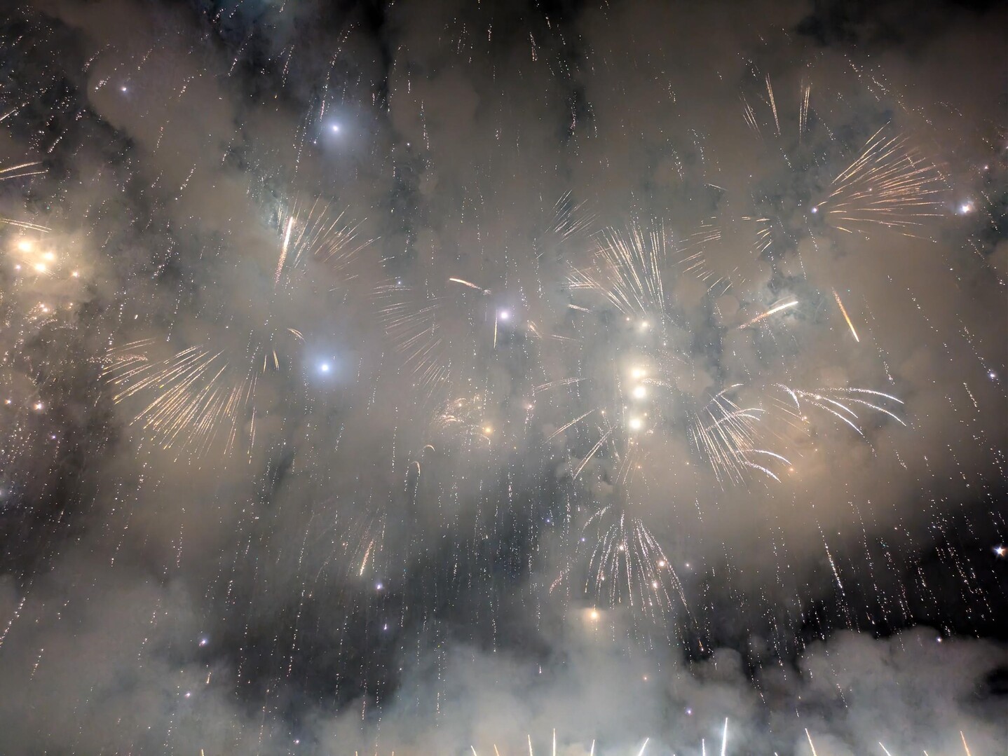 今年も長岡花火のフェニックスが見事に羽ば... / ayaさんのモーメント | YAMAP / ヤマップ