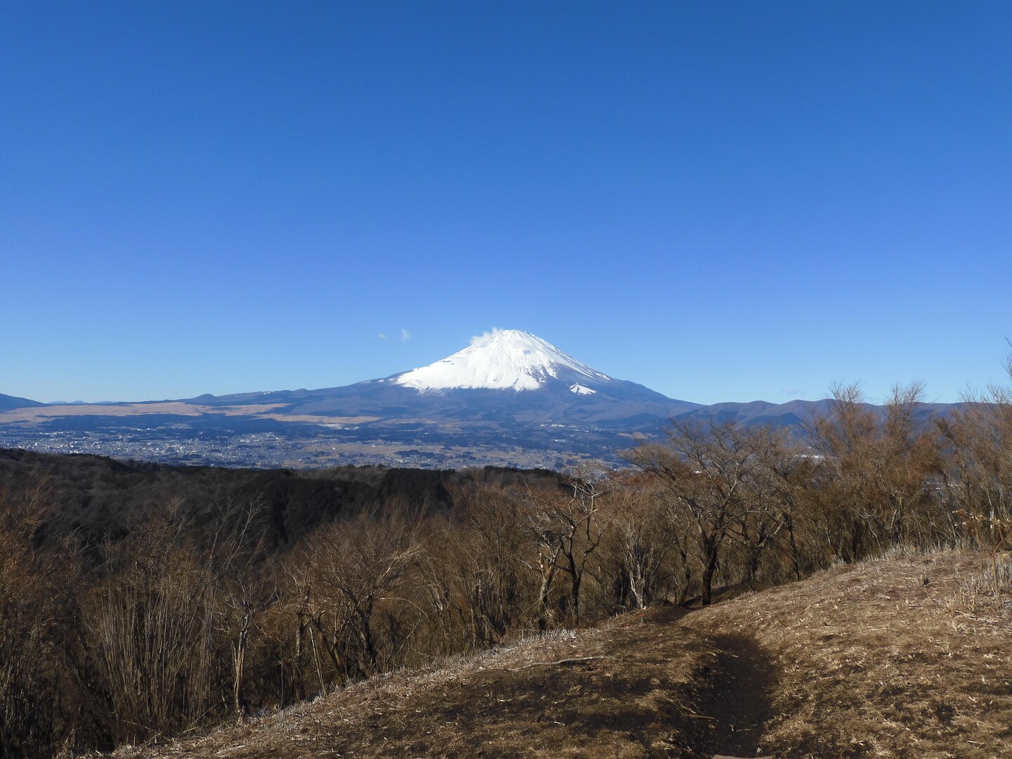 矢倉岳・鷹落場・押立山・鳥手山・近野山 / kamさんの矢倉岳の活動データ | YAMAP / ヤマップ
