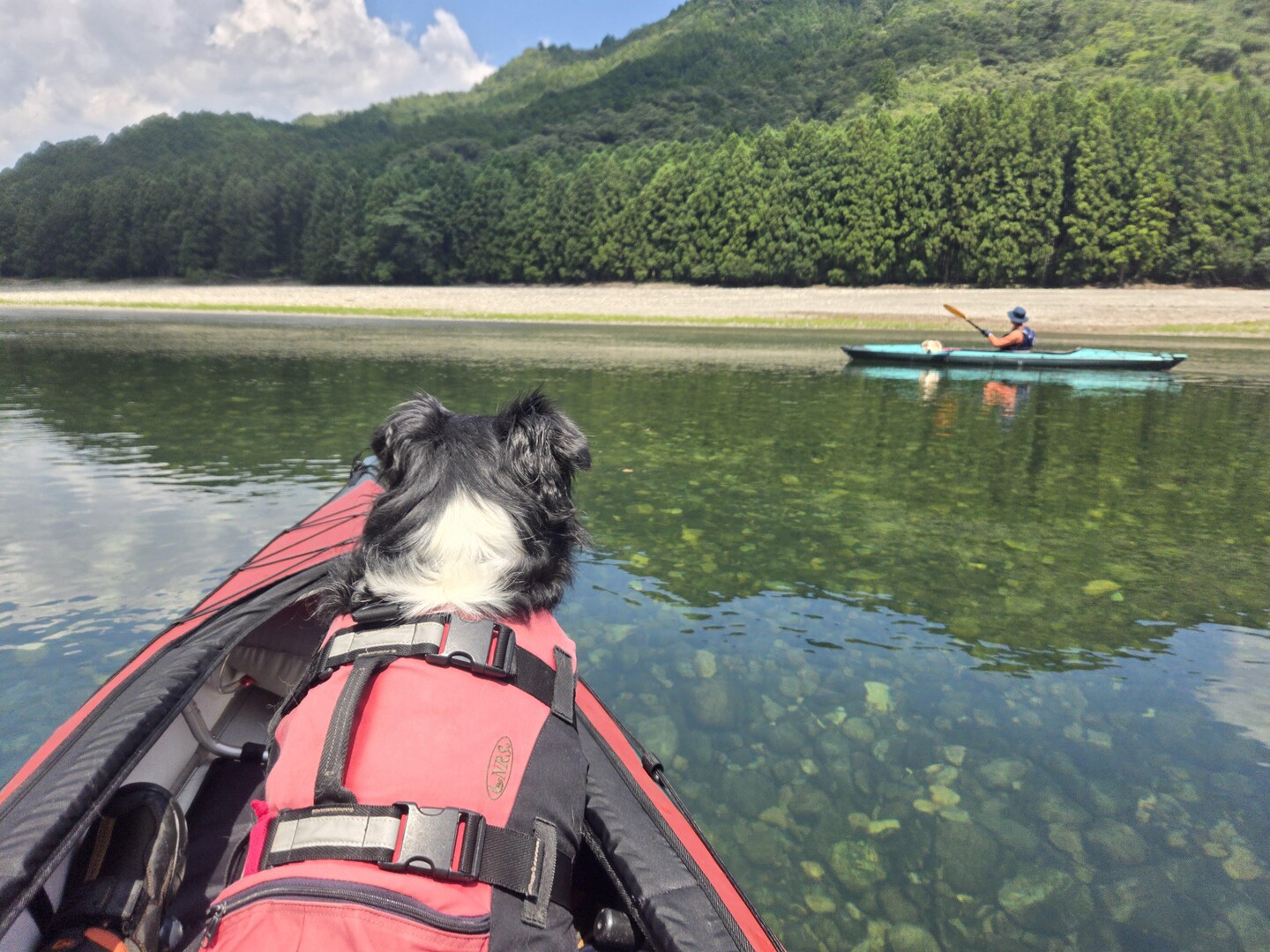 北山川🛶D・R 玉置口→九重 / ぐりこさんの熊野川その1（小森ダム〜三和大橋）の活動データ | YAMAP / ヤマップ