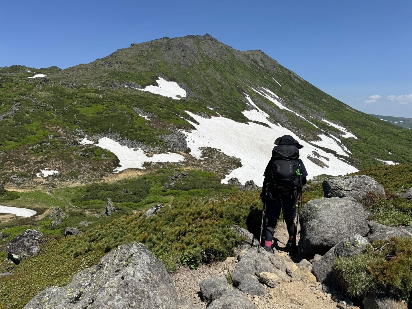 雪渓の景色と花を楽しむトムラウシ山 / ユッキーさんのGT3 2の活動データ | YAMAP / ヤマップ