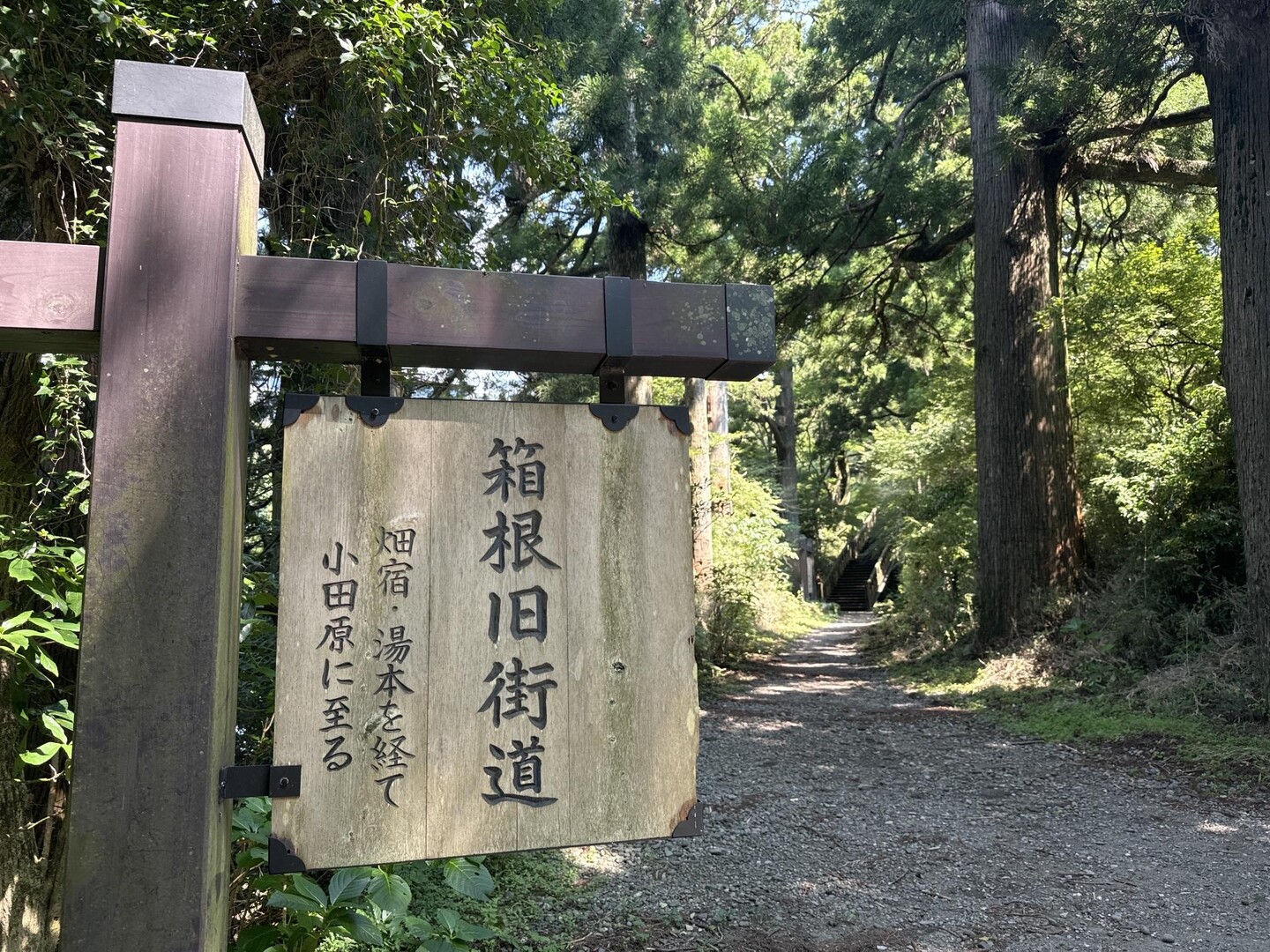 元箱根〜箱根湯本 / ユーザーzawさんの塔ノ岳・丹沢山・蛭ヶ岳の活動データ | YAMAP / ヤマップ