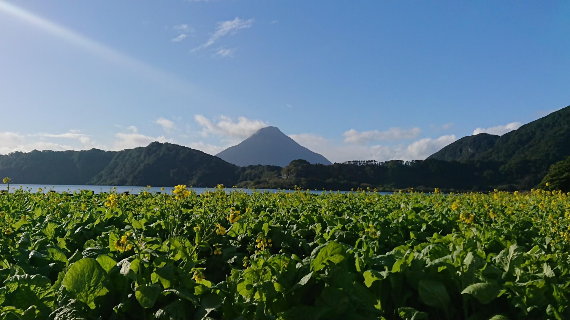 2023.01.02(月) 12:34 / nandaiya777さんのモーメント | YAMAP / ヤマップ