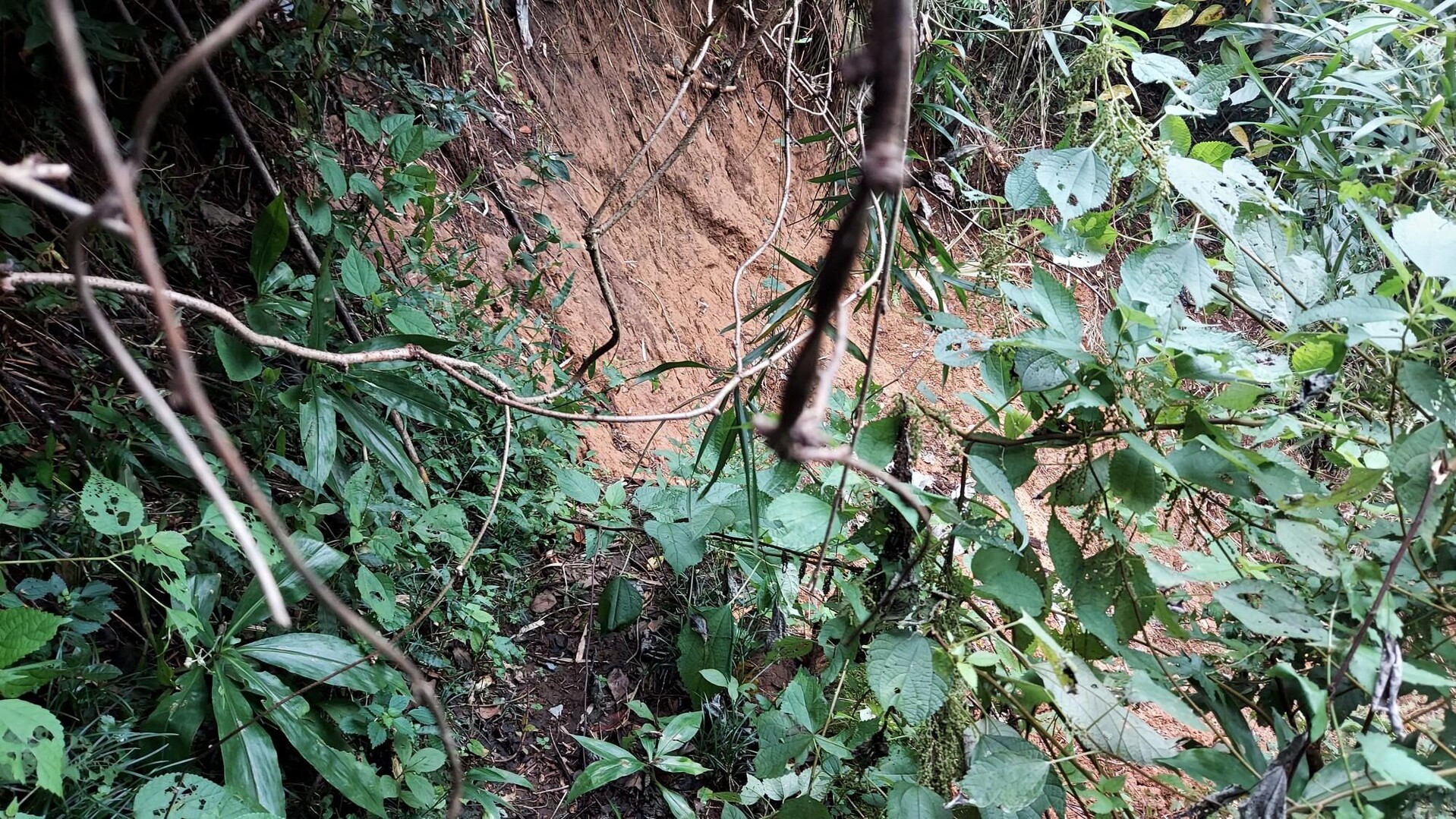 piropiroさんの投稿したフィールドメモ | YAMAP / ヤマップ