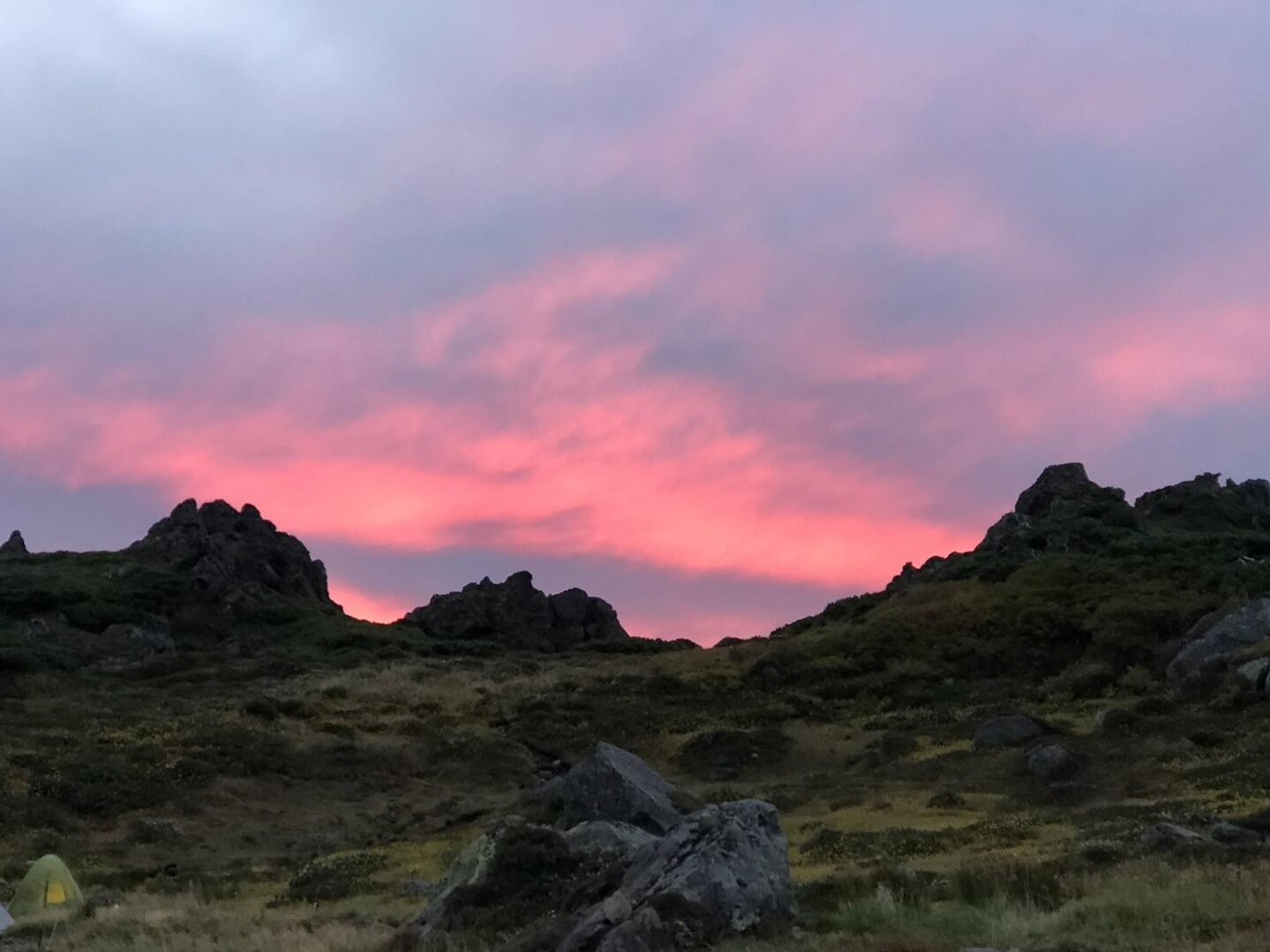 山キャンプ トムラウシ山 / Arcさんの大雪山系・旭岳・トムラウシの活動データ | YAMAP / ヤマップ
