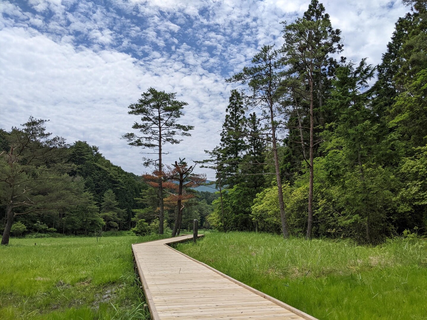 黒沢湿原とちょっと寄り道 / yu−yuさんの国見山の活動データ | YAMAP / ヤマップ