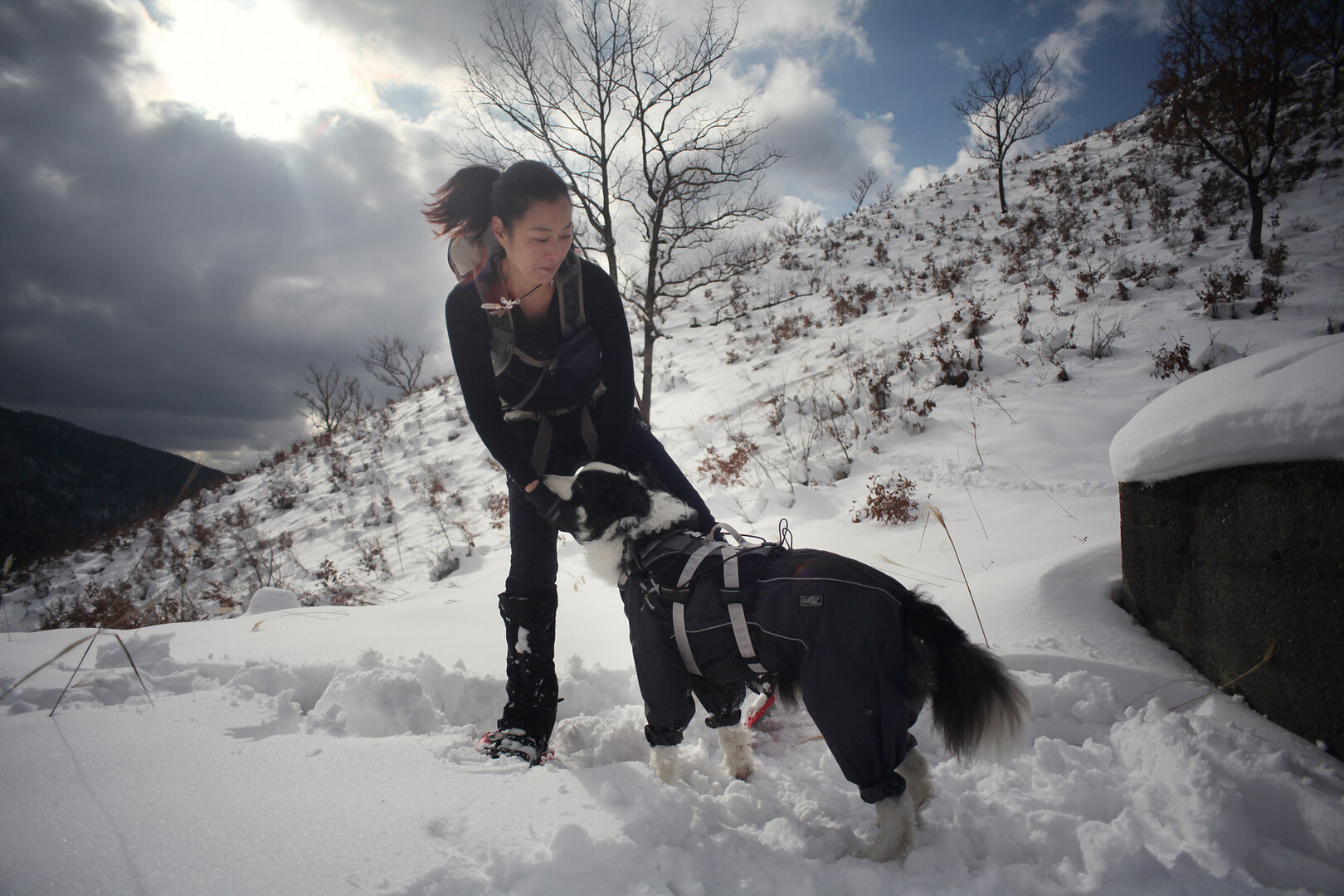 深入山 / JOEさんの深入山の活動データ | YAMAP / ヤマップ