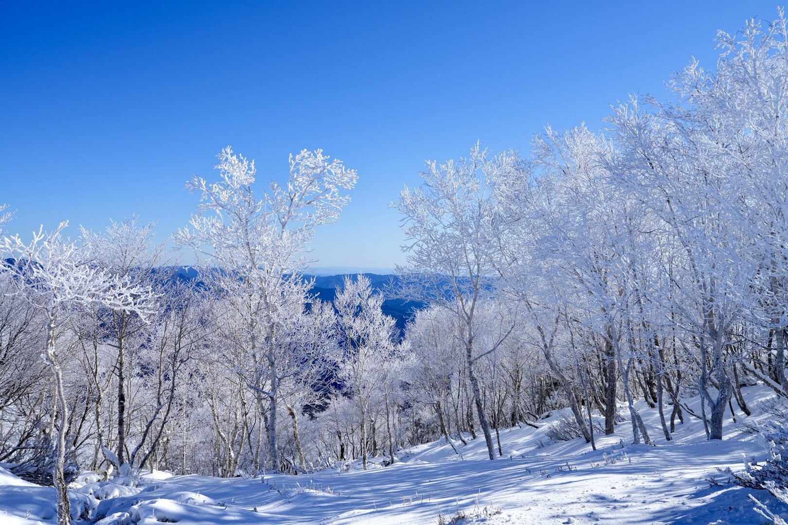 黒檜山（赤城山）・駒ヶ岳 / puku68さんの赤城山・黒檜山・荒山の活動データ | YAMAP / ヤマップ