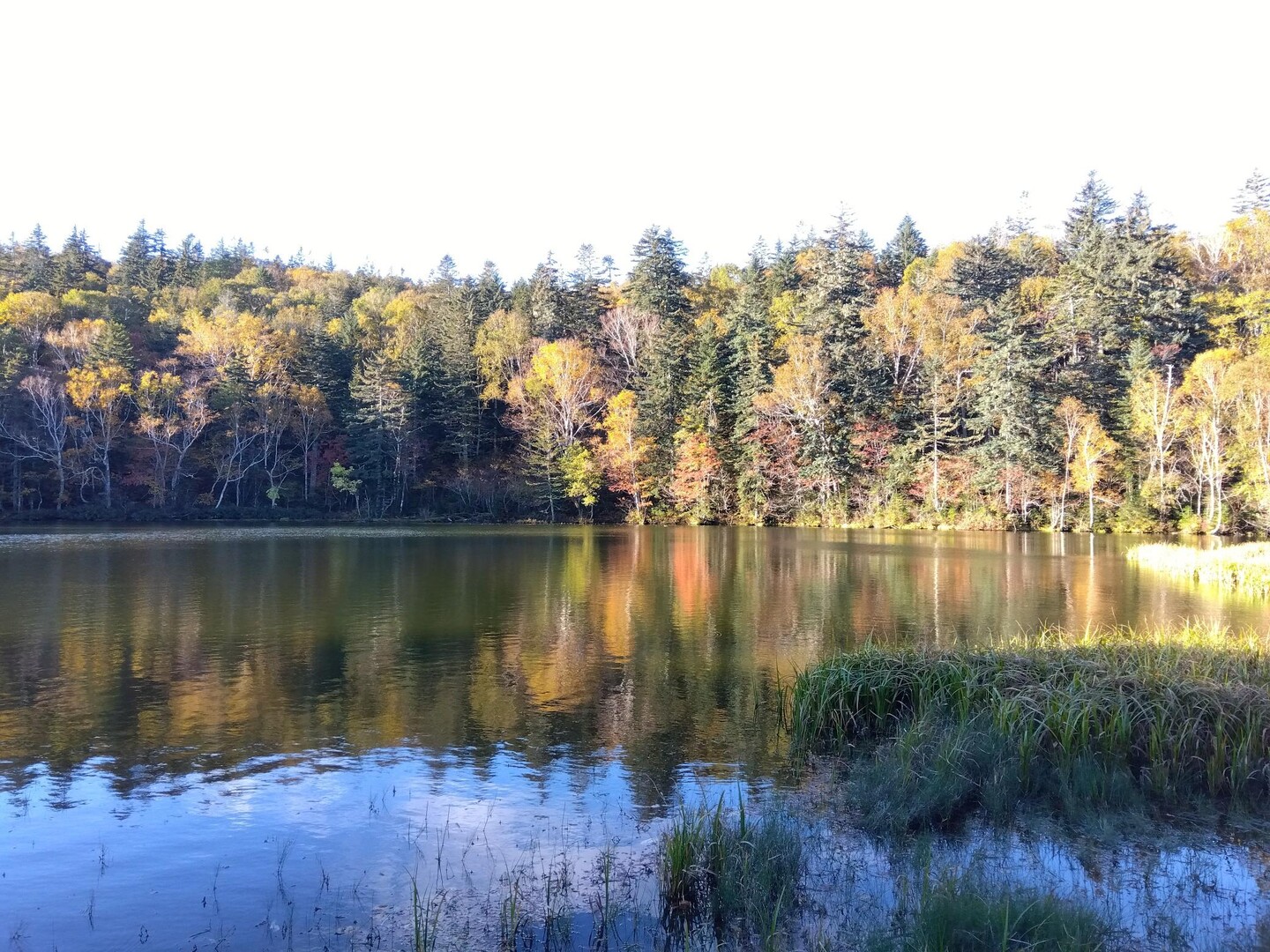 空沼岳→札幌岳、で戻ってきた… / K-ta.wさんの札幌岳・空沼岳の活動データ | YAMAP / ヤマップ