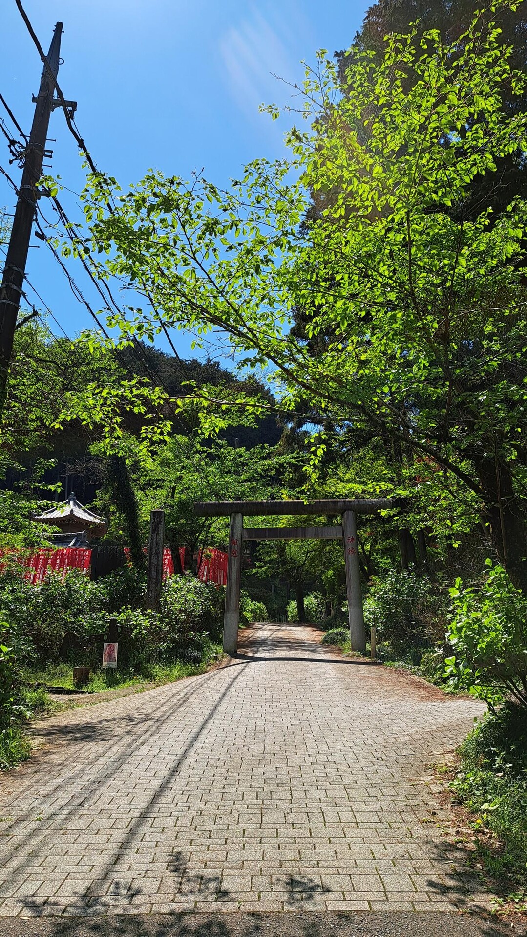 太平山 / str_0307さんの太平山・晃石山・唐沢山の活動データ | YAMAP / ヤマップ