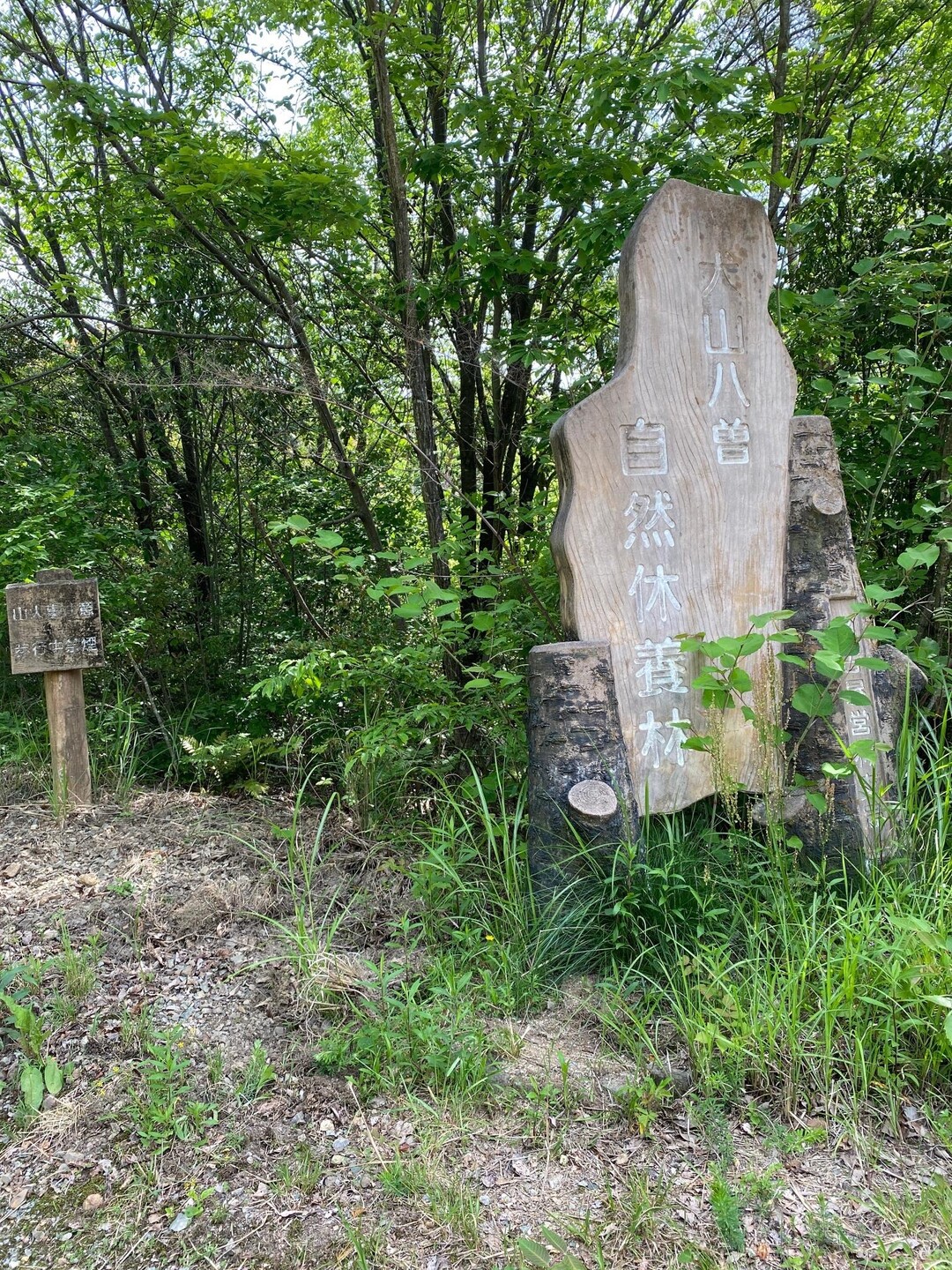 八曾山・岩見山 / rinpeさんの八曽山の活動データ | YAMAP / ヤマップ