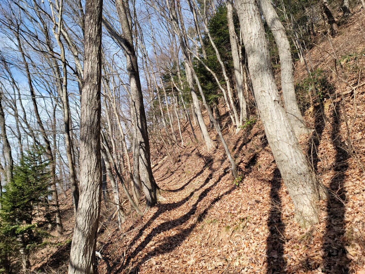 山納め第二弾👍関山 / kumasakiさんの関山の活動日記 | YAMAP / ヤマップ