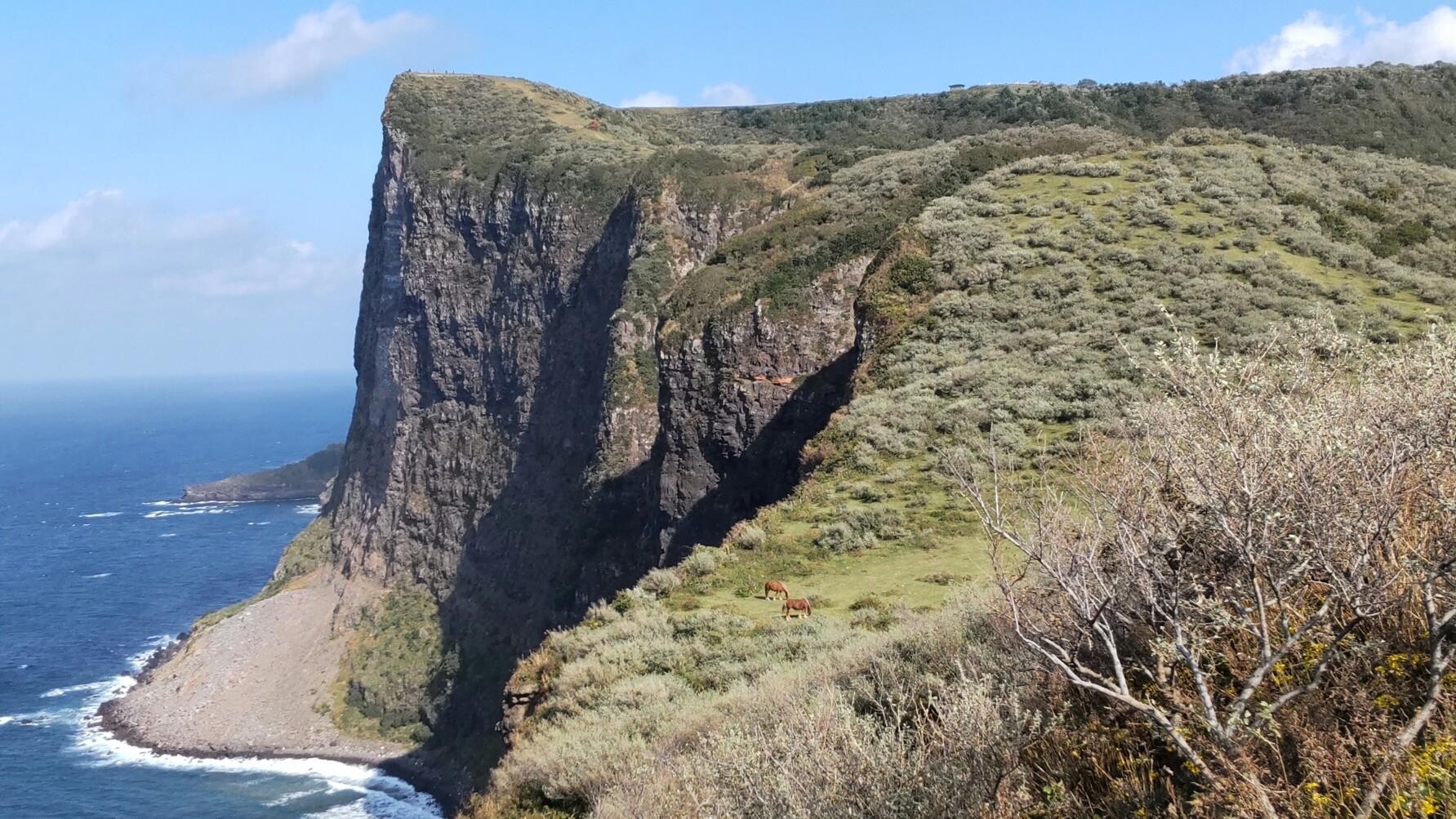 隠岐 西ノ島 摩天崖 絶景ハイキング / アンジーさんのE-BIKE ADVENTURE OKI 島前の活動データ | YAMAP / ヤマップ