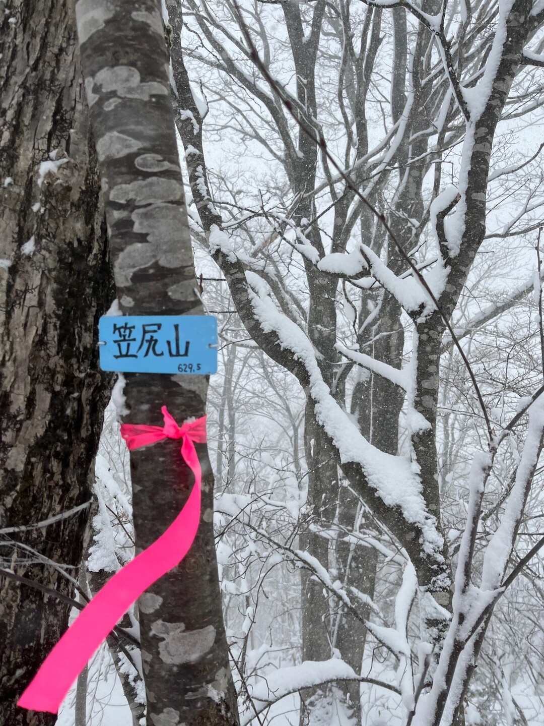 ラッセル💦笠尻山・千石城山 / kouさんの千石城山の活動データ | YAMAP / ヤマップ