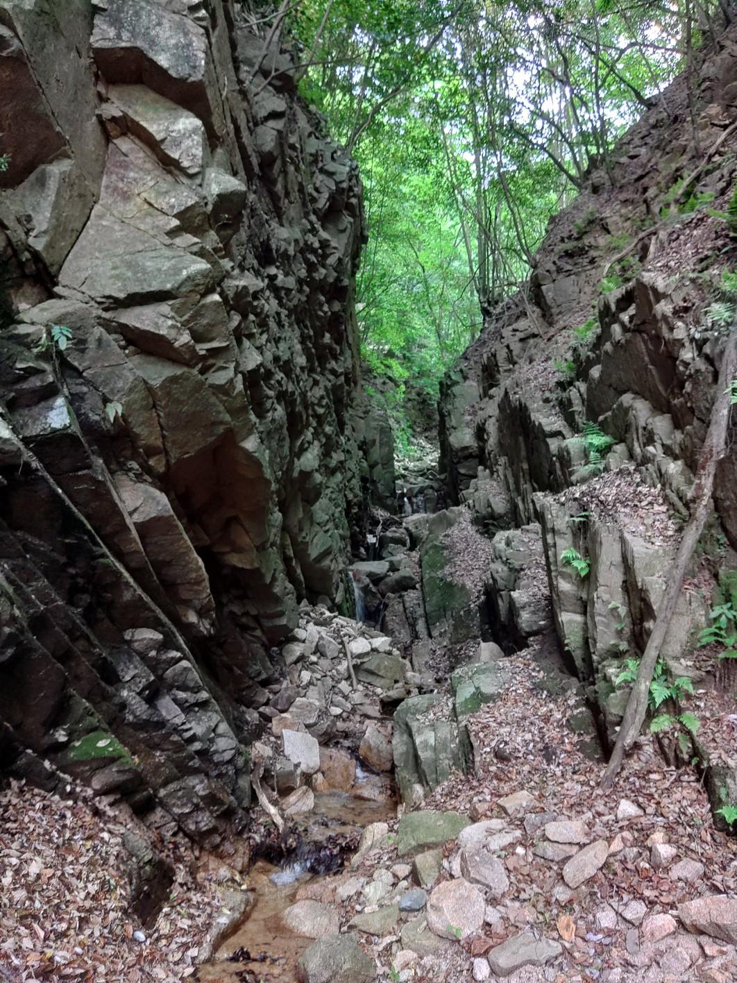 159：チョっと電車でサワ～2 in 六甲・赤子谷 / Shinさんの六甲山・長峰山・摩耶山の活動データ | YAMAP / ヤマップ