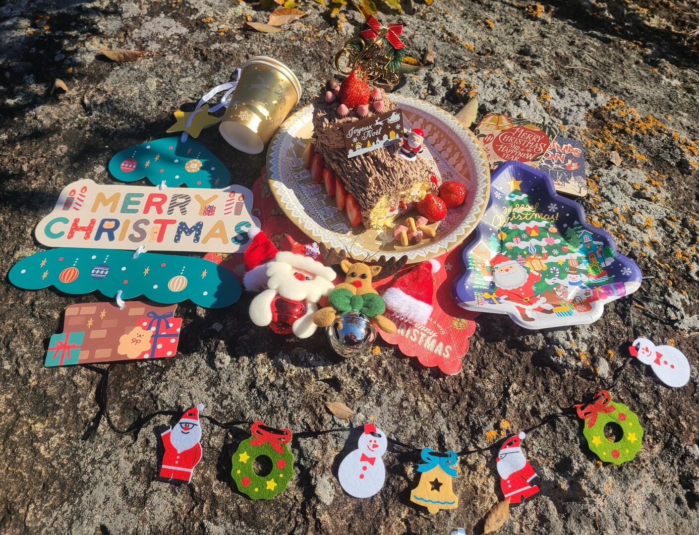 2024.12.01 紅山X'masパー... / 雷鳥さんのモーメント | YAMAP / ヤマップ