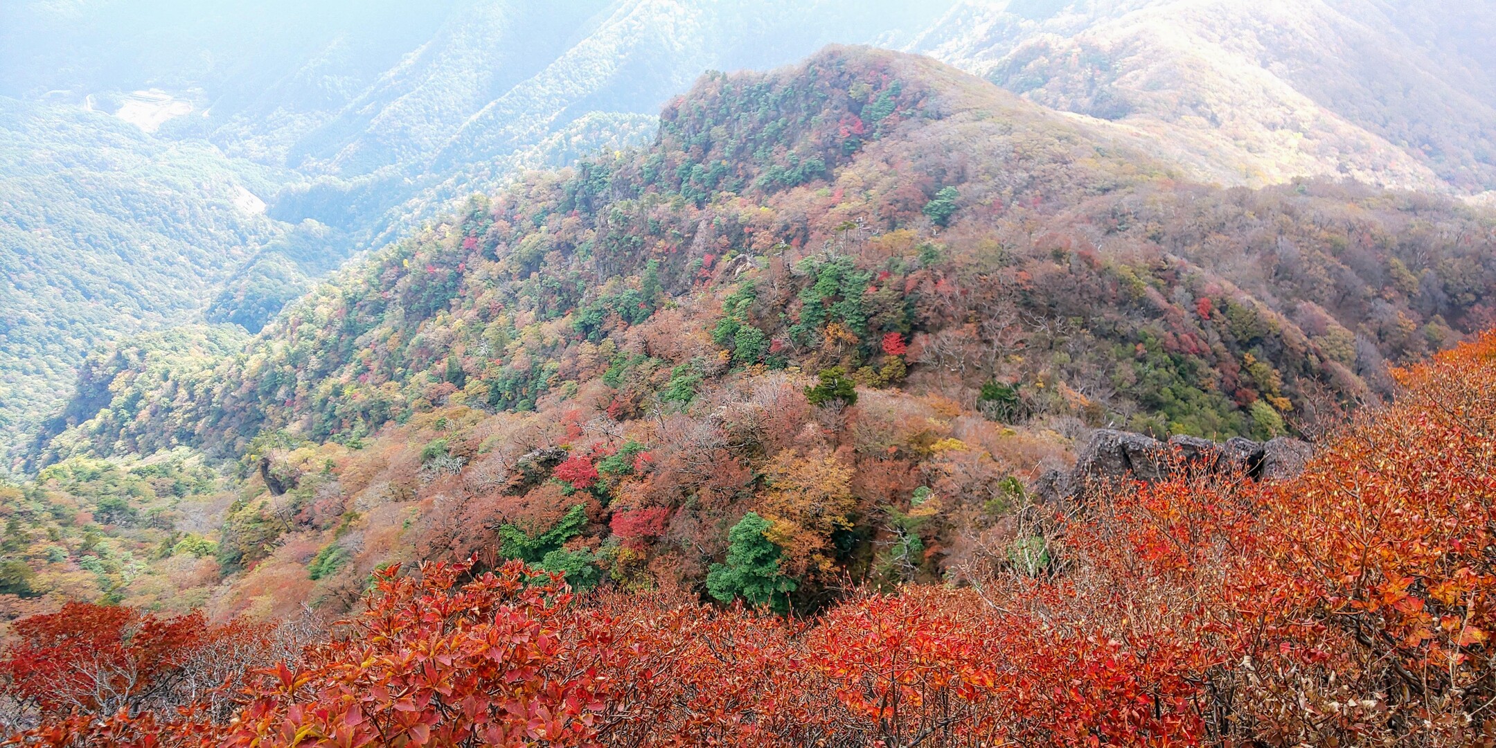紅葉グラデーション🍁祖母山 / meru2209さんの祖母山の活動データ | YAMAP / ヤマップ
