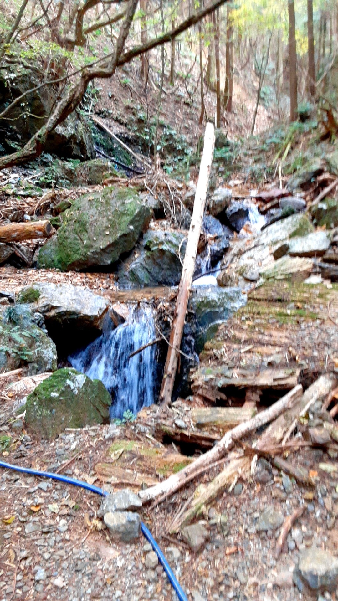 SSMさんの投稿したフィールドメモ | YAMAP / ヤマップ