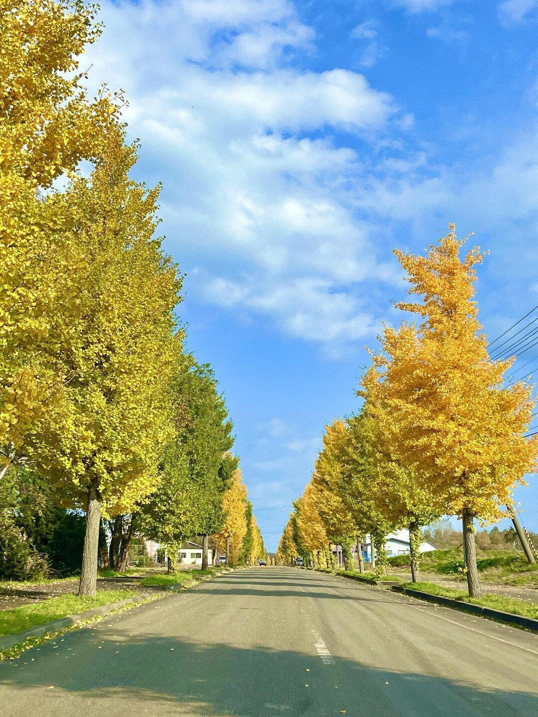 国道12号線旧道「国見峠」 / FUM!さんの音江山・沖里河山の活動データ | YAMAP / ヤマップ