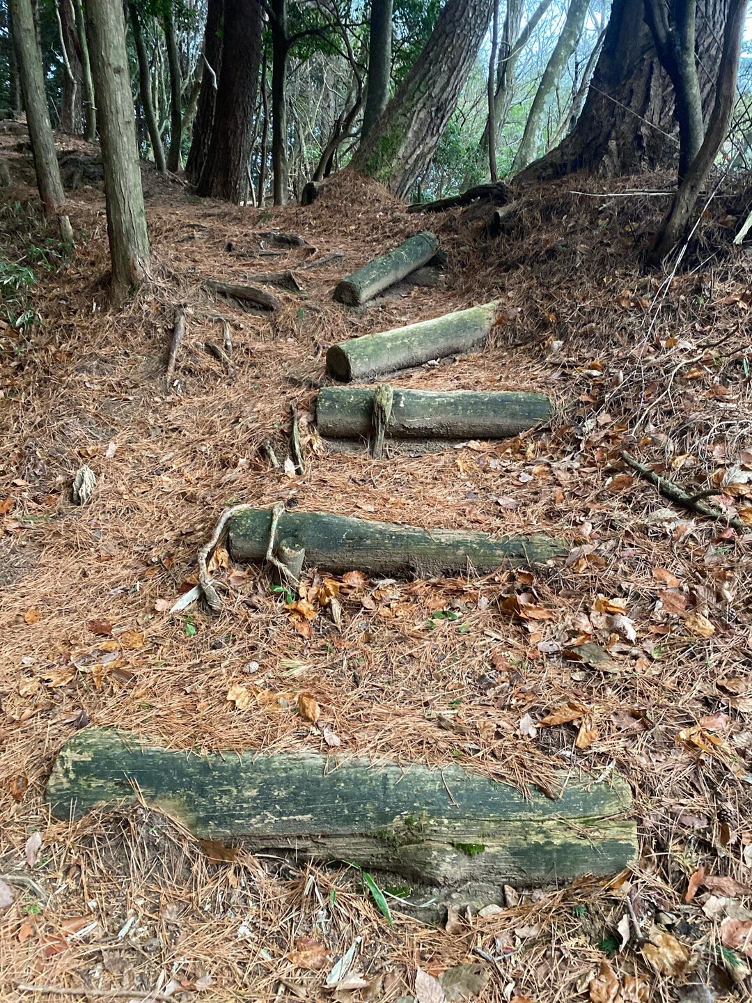 KASABUさんの投稿したフィールドメモ | YAMAP / ヤマップ