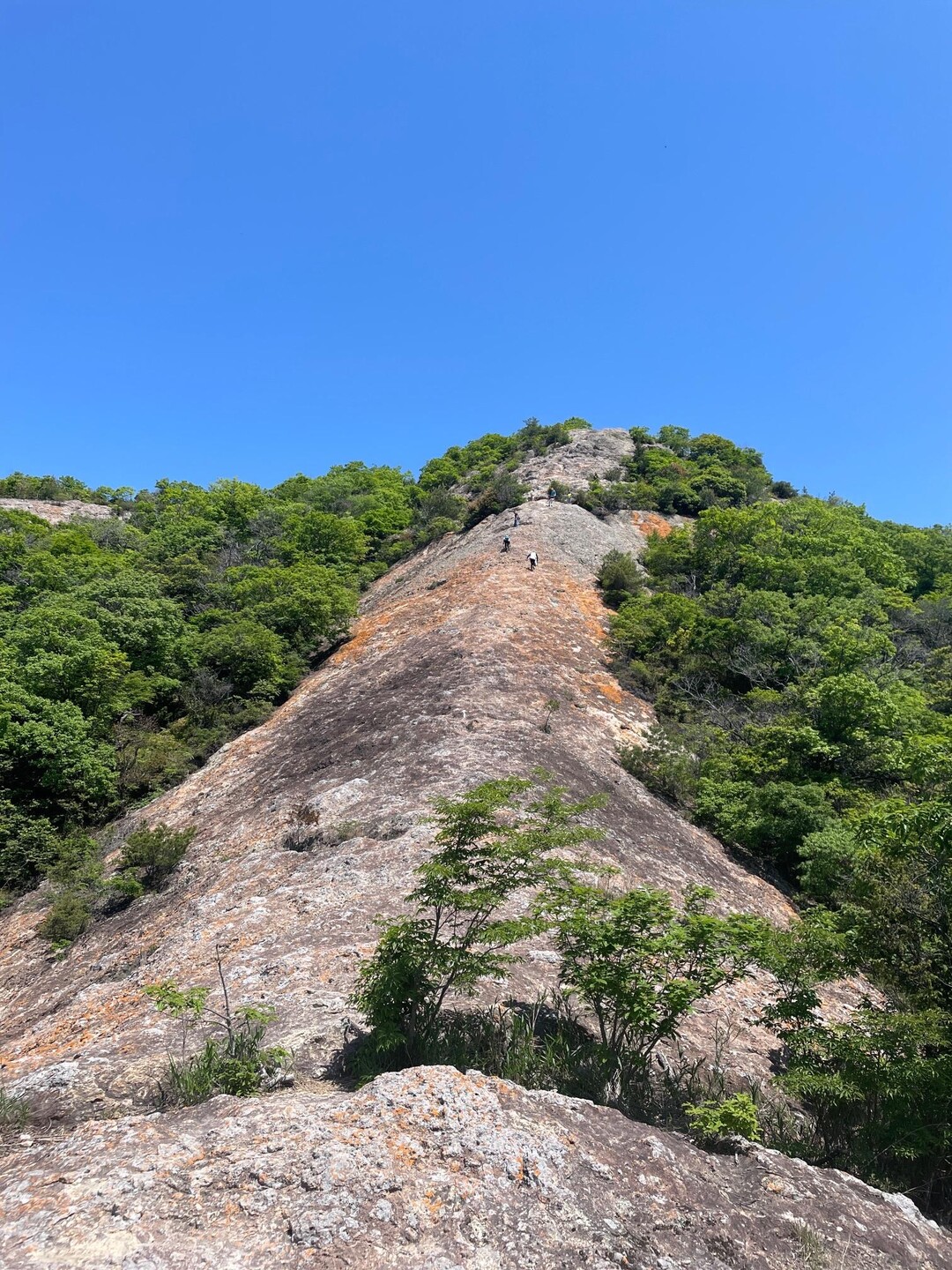 小野アルプス / silkoさんの小野アルプス（紅山・惣山）の活動データ | YAMAP / ヤマップ