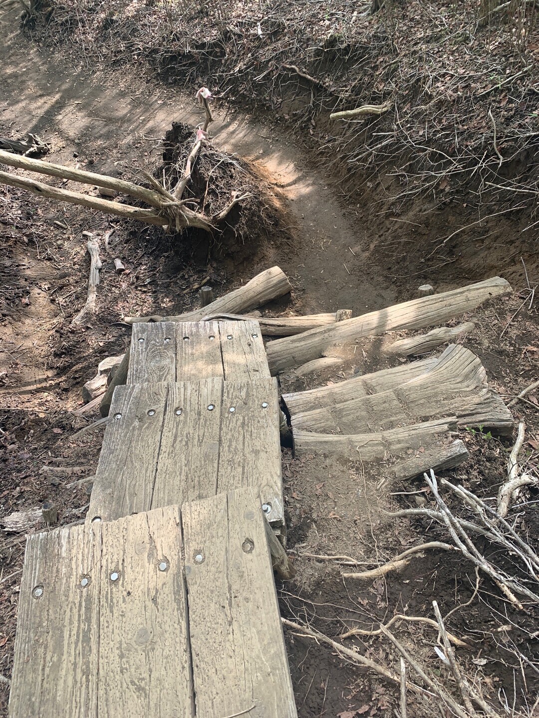 Alex Kudzinさんの投稿したフィールドメモ | YAMAP / ヤマップ