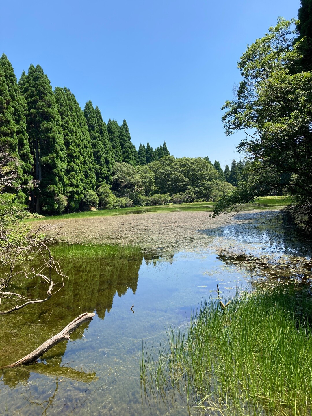 恋姫山・田代池神社・石津山・石津御嶽・青池神社 / kanapさんの多度山・美濃松山・石津御嶽の活動データ | YAMAP / ヤマップ